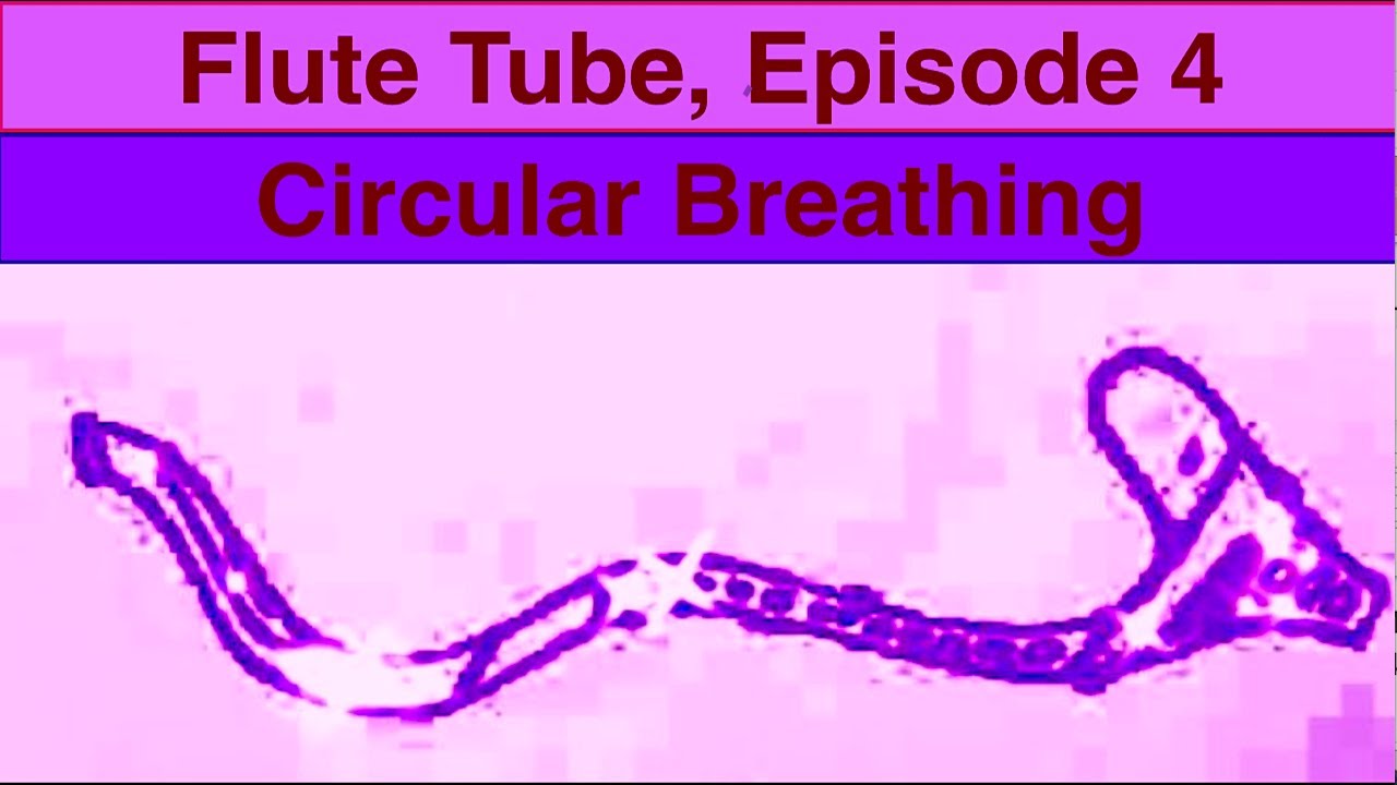 Flute Tube, Episode 4: Circular Breathing - YouTube