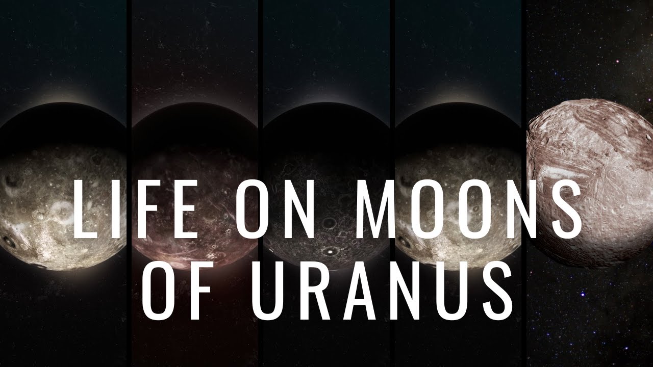 Possibility of life on Shakespearean moons of Uranus | Titania, Miranda ...