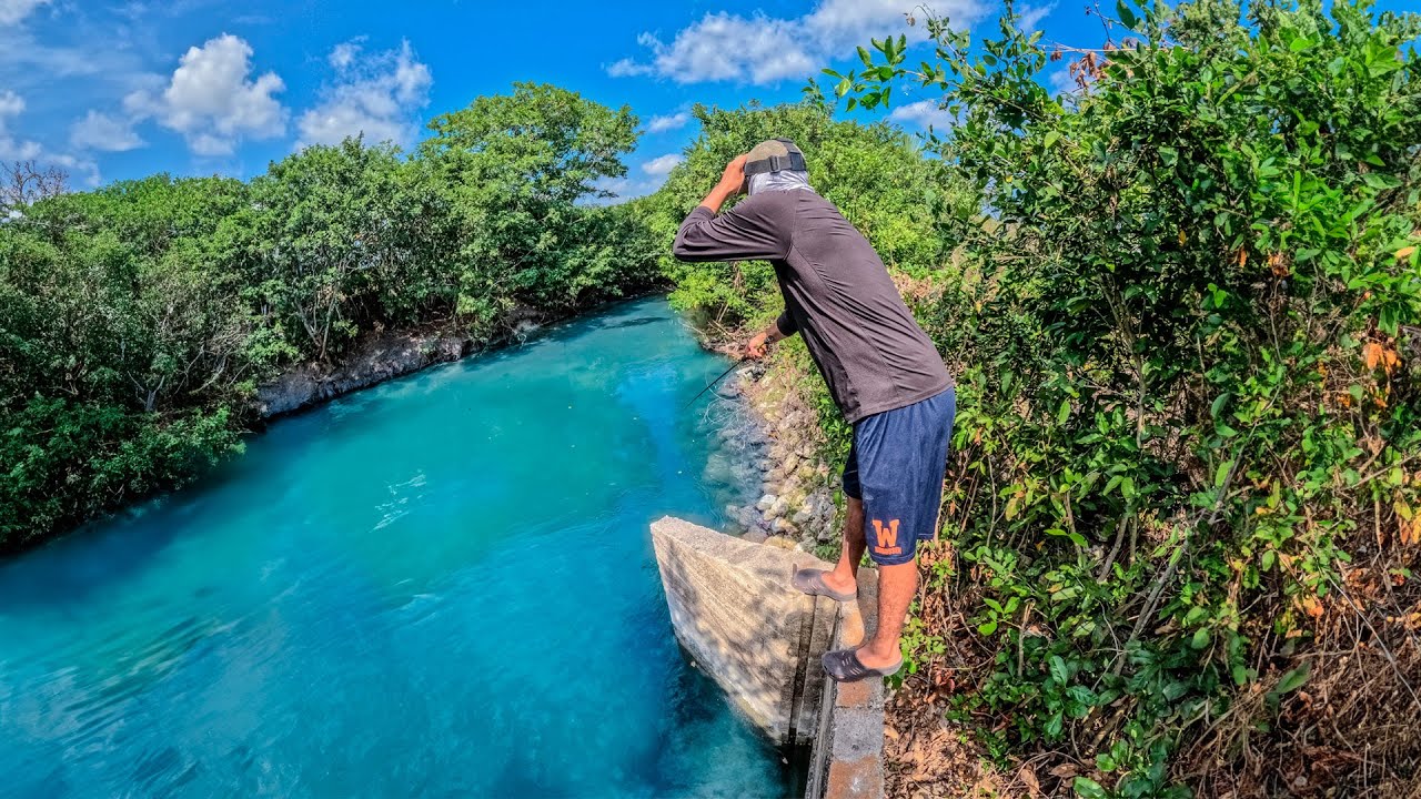 Pescamos En Hermoso LUGAR SECRETO Una Especie De GUAPOTE Nunca Antes ...