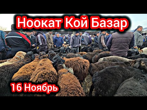  Сиздер Сураган Ноокат Кой Базар 👍 16 Ноябрь