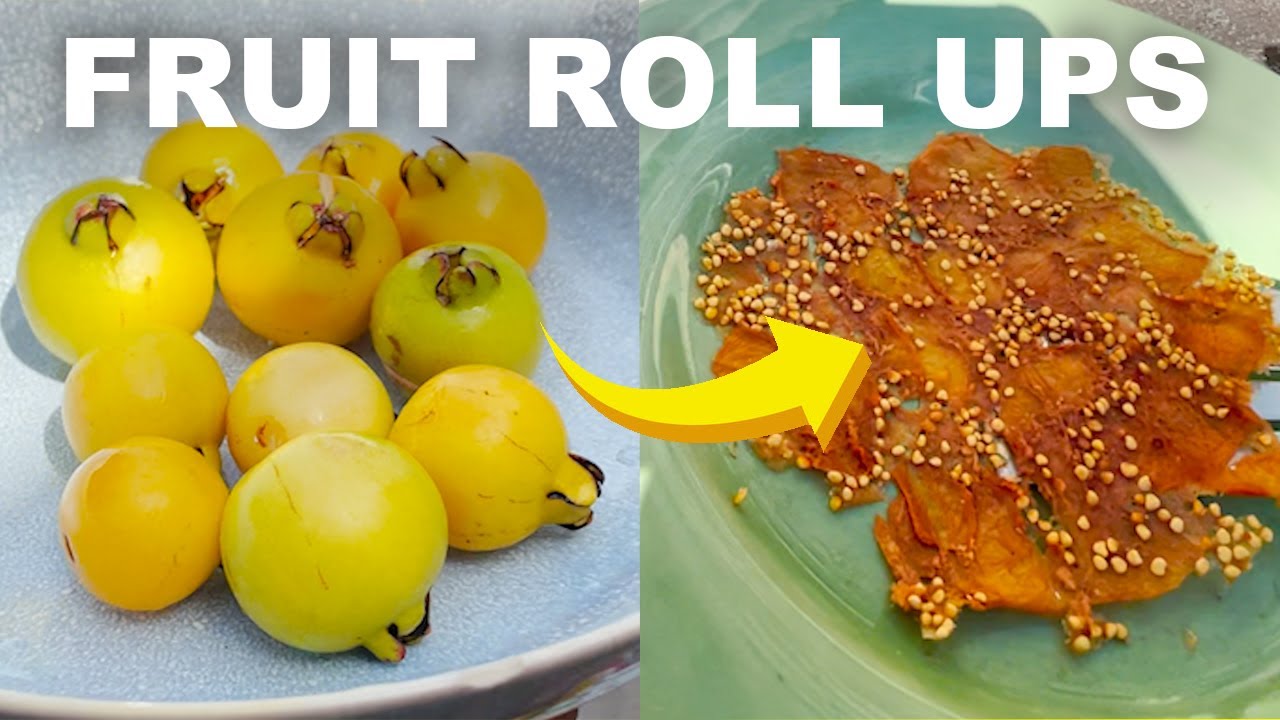 Homemade Lemon Guava Sun Dried Leather Snacks are so DELICIOUS! - YouTube