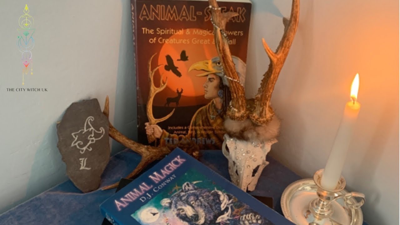 Recommended Animal Magick books - YouTube