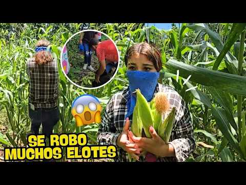 Que descarada es NATALIA😡😡 se metió a una propiedad privada A R0BAR ELOTES😱🌽 casi nos cachan