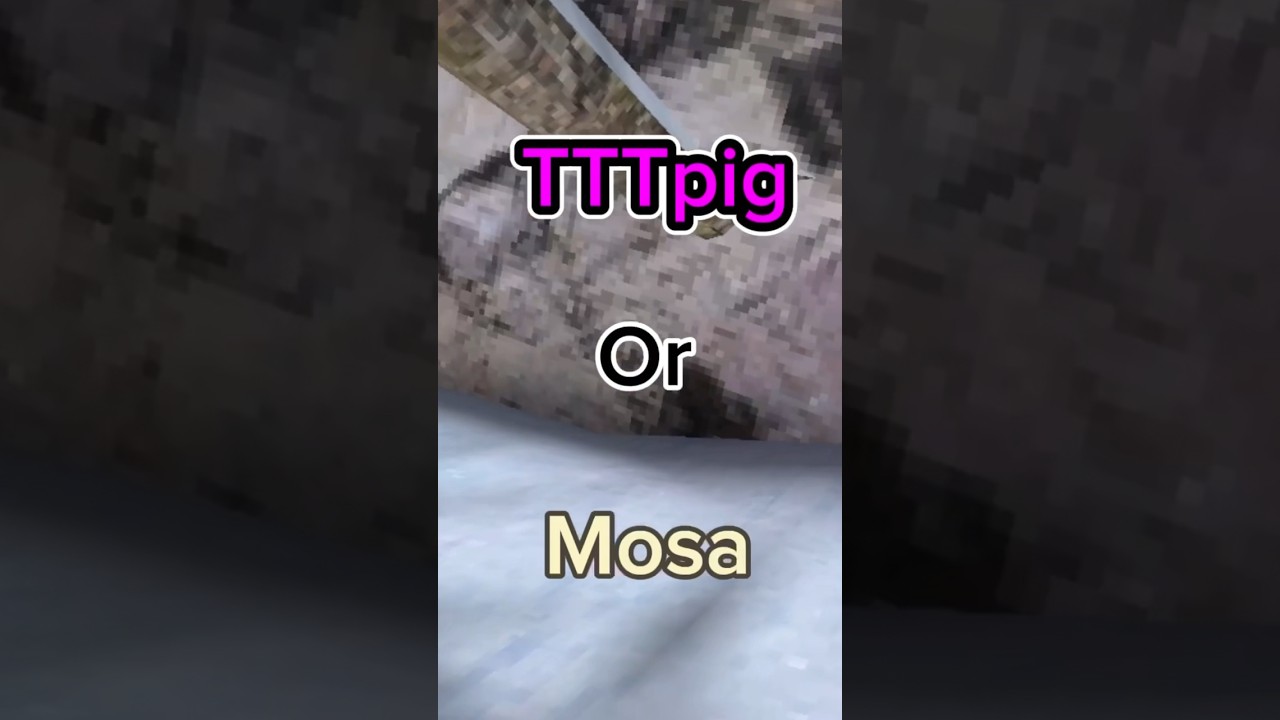 TTTpig or Mosa - YouTube