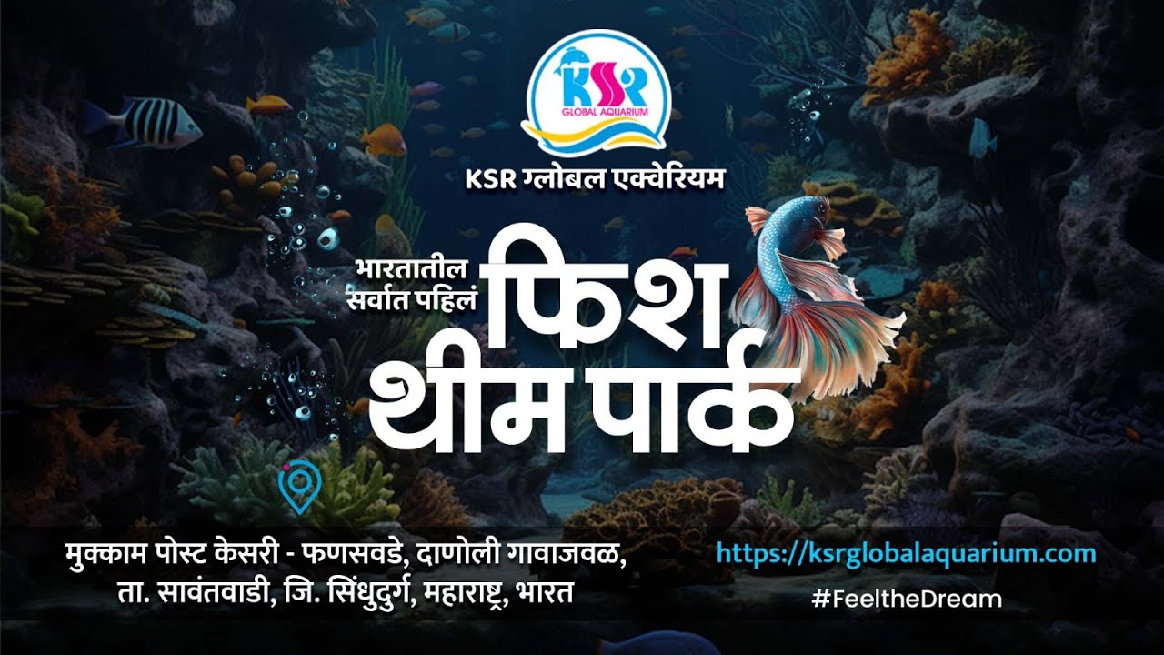 KSR Global Aquarium | Sindhudurg | 1st Fish Theme Park | Kokan ...