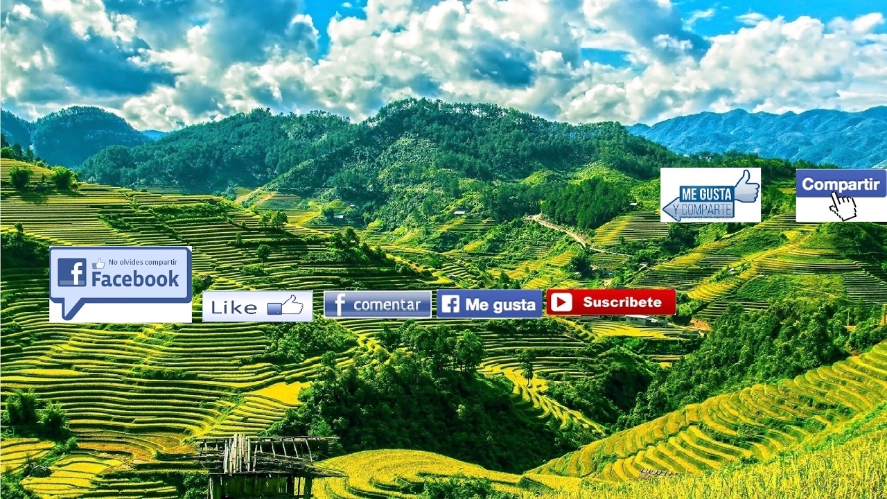 FULL RMIX CHICHA LIGHT SOLO EXITOS EL ORIGINAL - YouTube