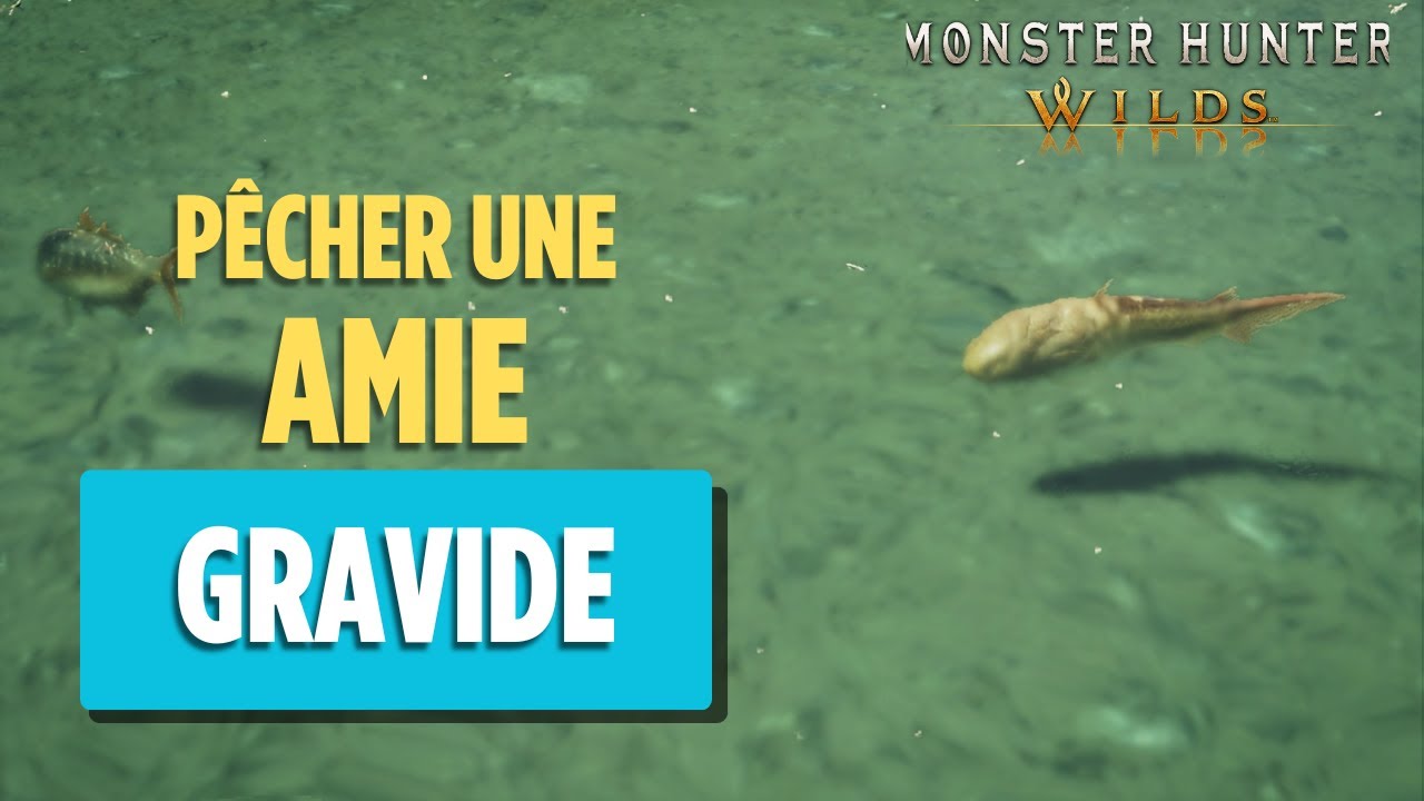 Amie gravide - Monster Hunter Wilds - YouTube