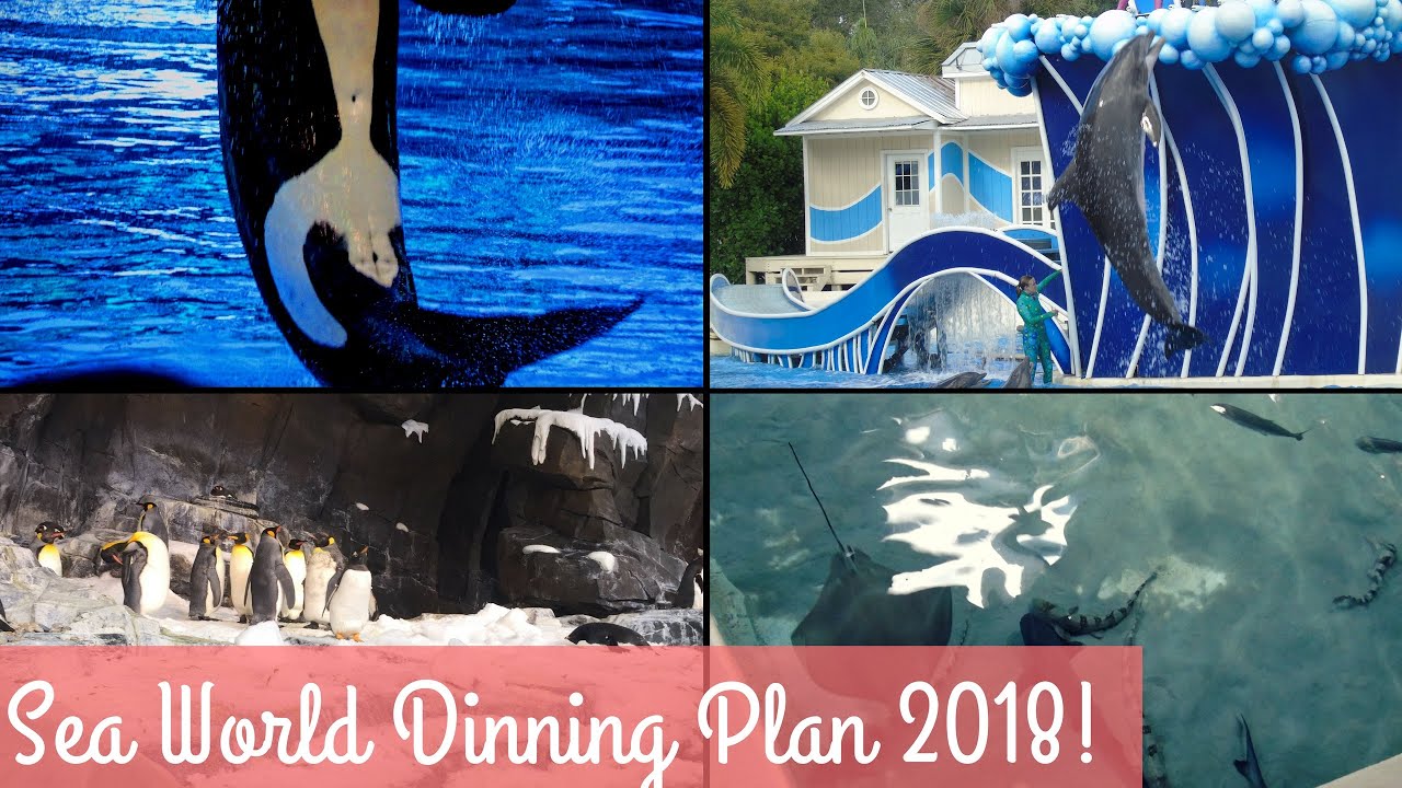 SeaWorld Dining Plan Review 2021 is it worth it? price, rules, value ...