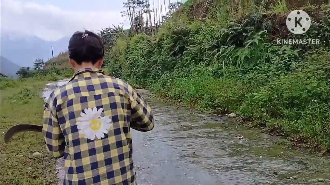 hnub no wb ob niam txiv mus luaj liaj os 12/8/2024 - YouTube