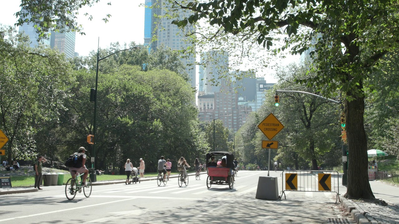 Trevin Smith - Cannon C200 in Central Park - YouTube