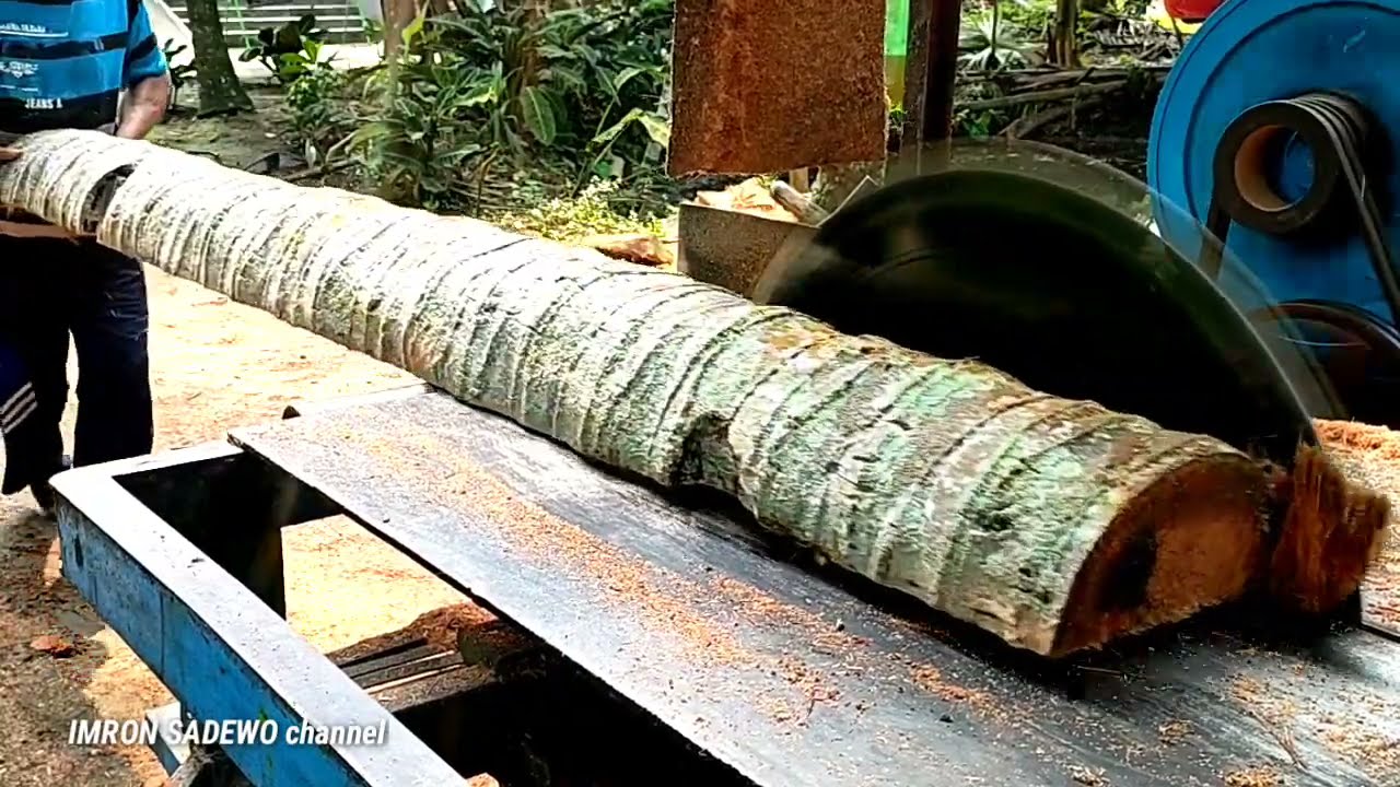 serabut serabut bertaburan di belakang gergaji piringan serkel ...