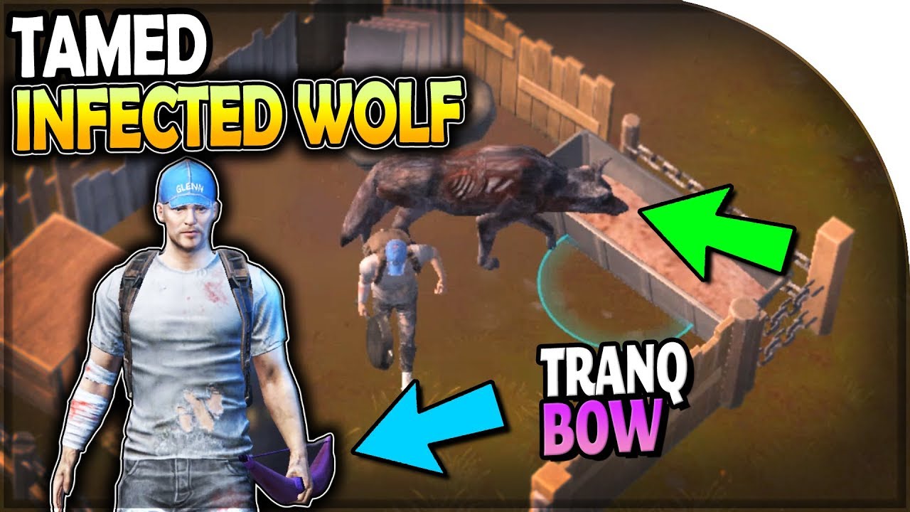 TRANQUILIZED BOW + TAMED INFECTED WOLF - Survival Wasteland Zombie ...
