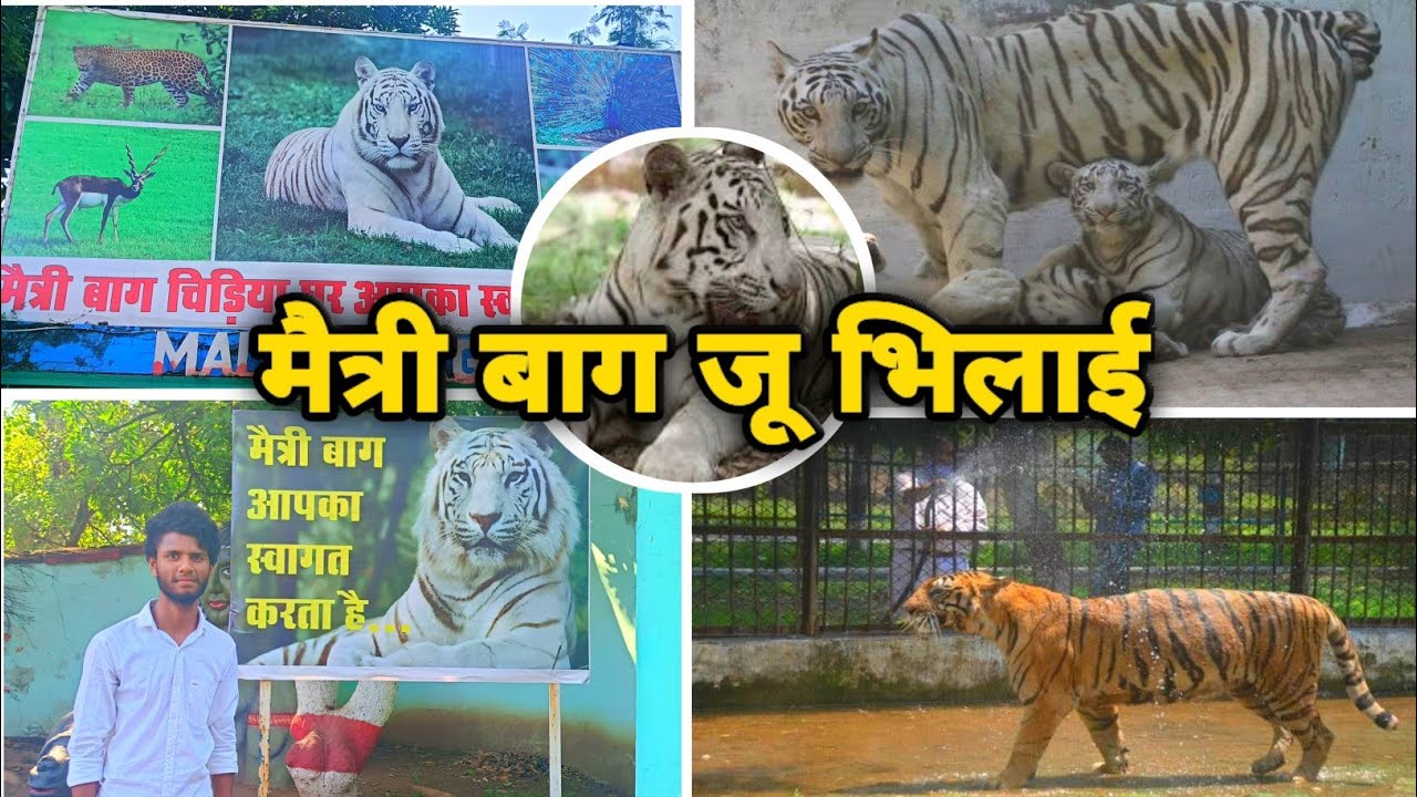 मैत्री बाघ जू भिलाई 🐯|| Maitri bagh zoo Bhilai || maitri garden bhilai ...