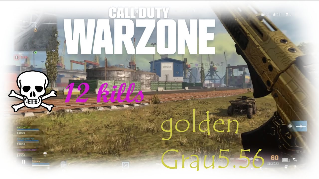 Golden Grau 5.56 + .357 Class Setup (Call of Duty Warzone) - YouTube