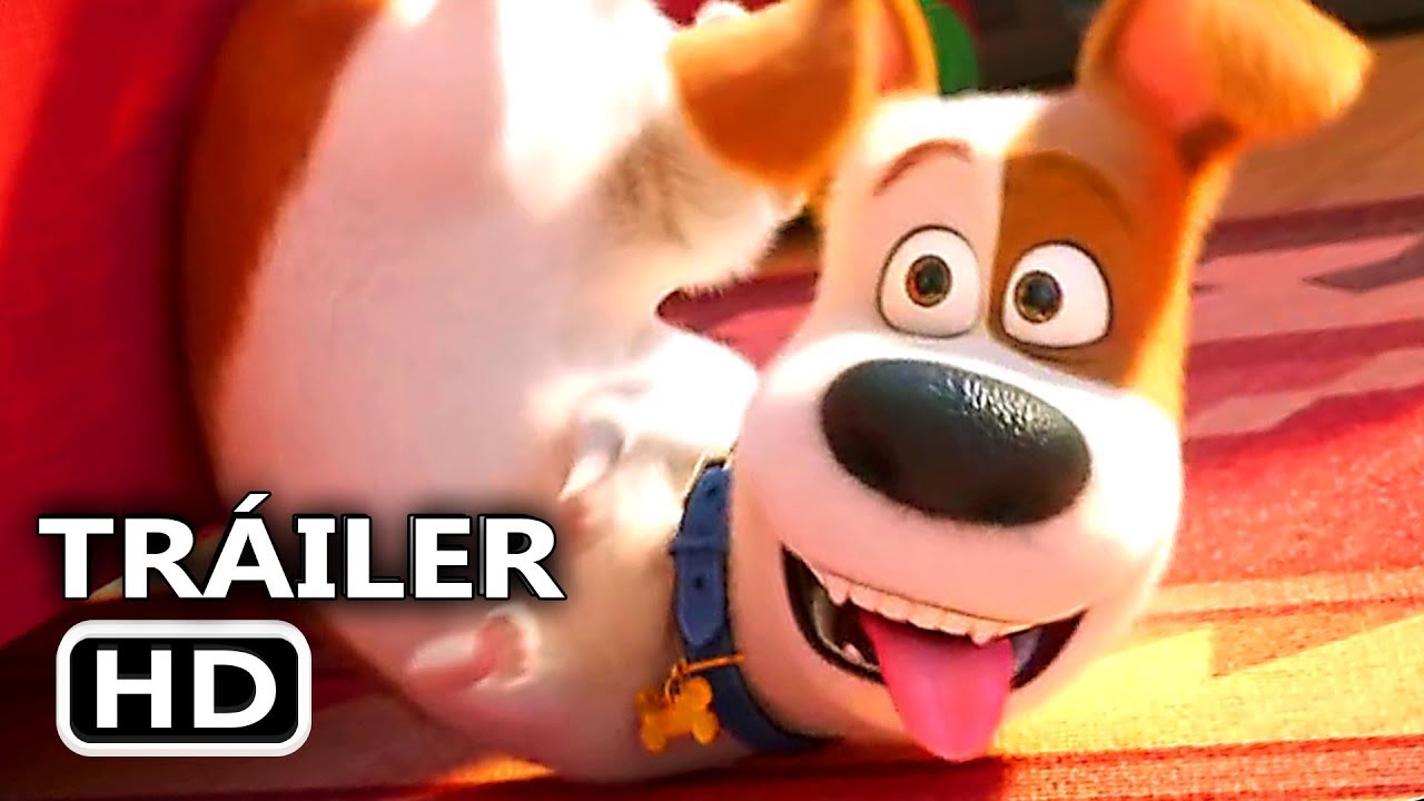 LA VIDA SECRETA DE TUS MASCOTAS 2 Tráiler Español (2019) - YouTube