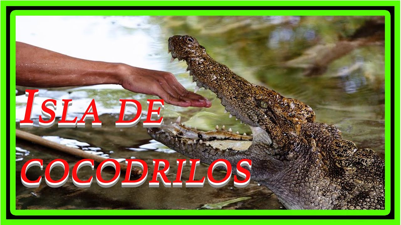 Isla Ramree/Paraísos Infernales (Cap 14/20) - YouTube