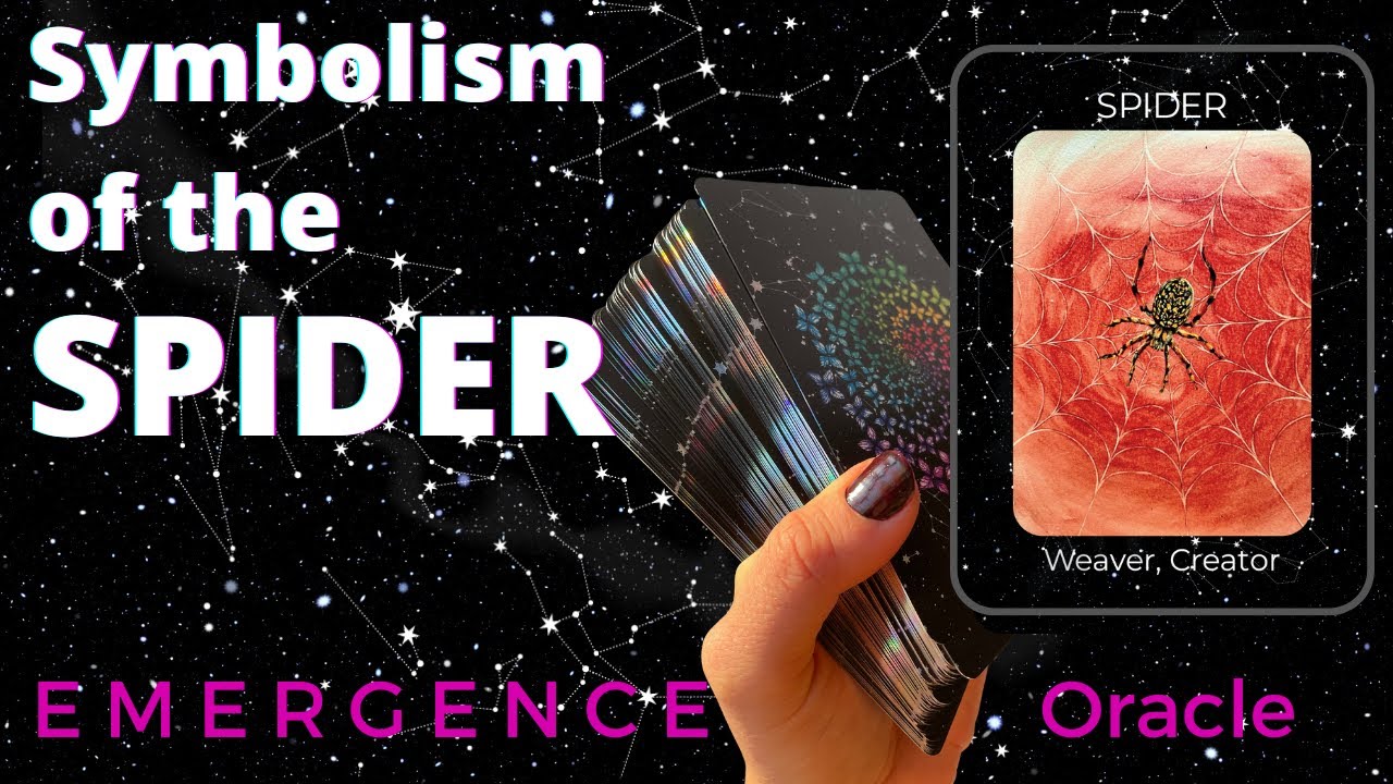 🕷️ Spiritual Meaning of Spider: Weave the Web of your Dreams! 🕷️🕸️ ...