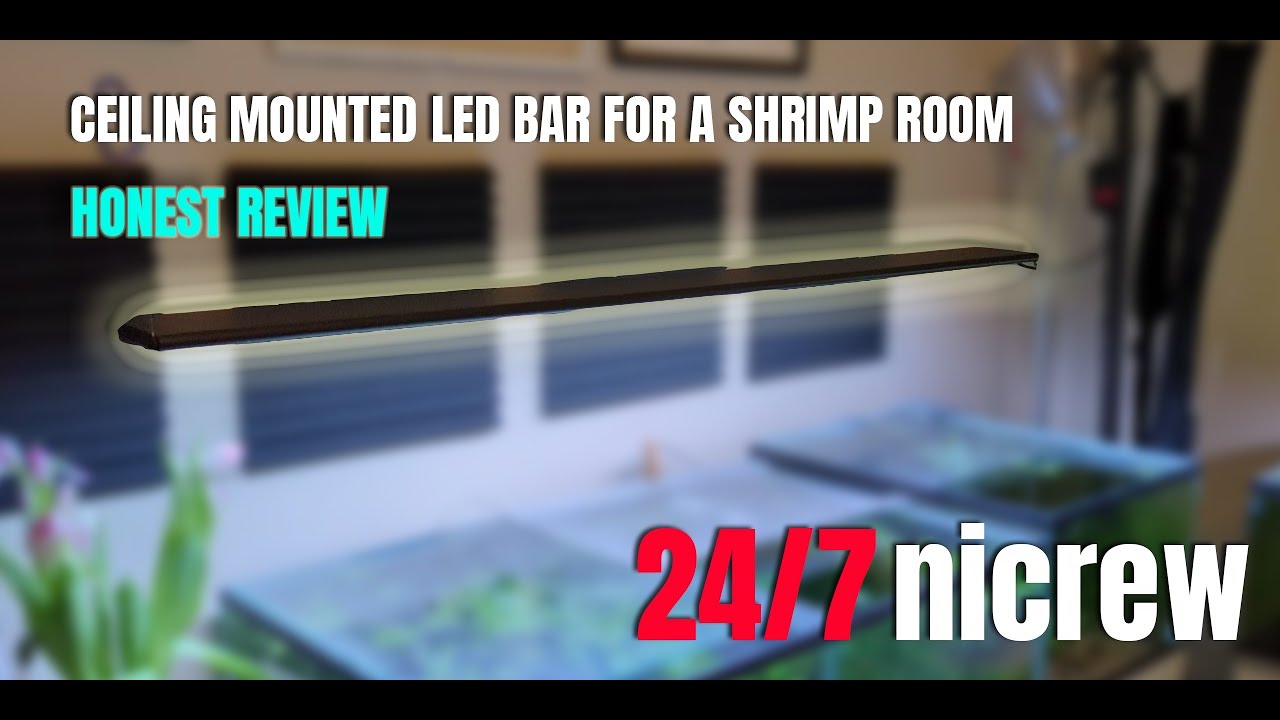 Nicrew Aquarium LED Light Review and Ceiling Mouting in Shrimp Room ...