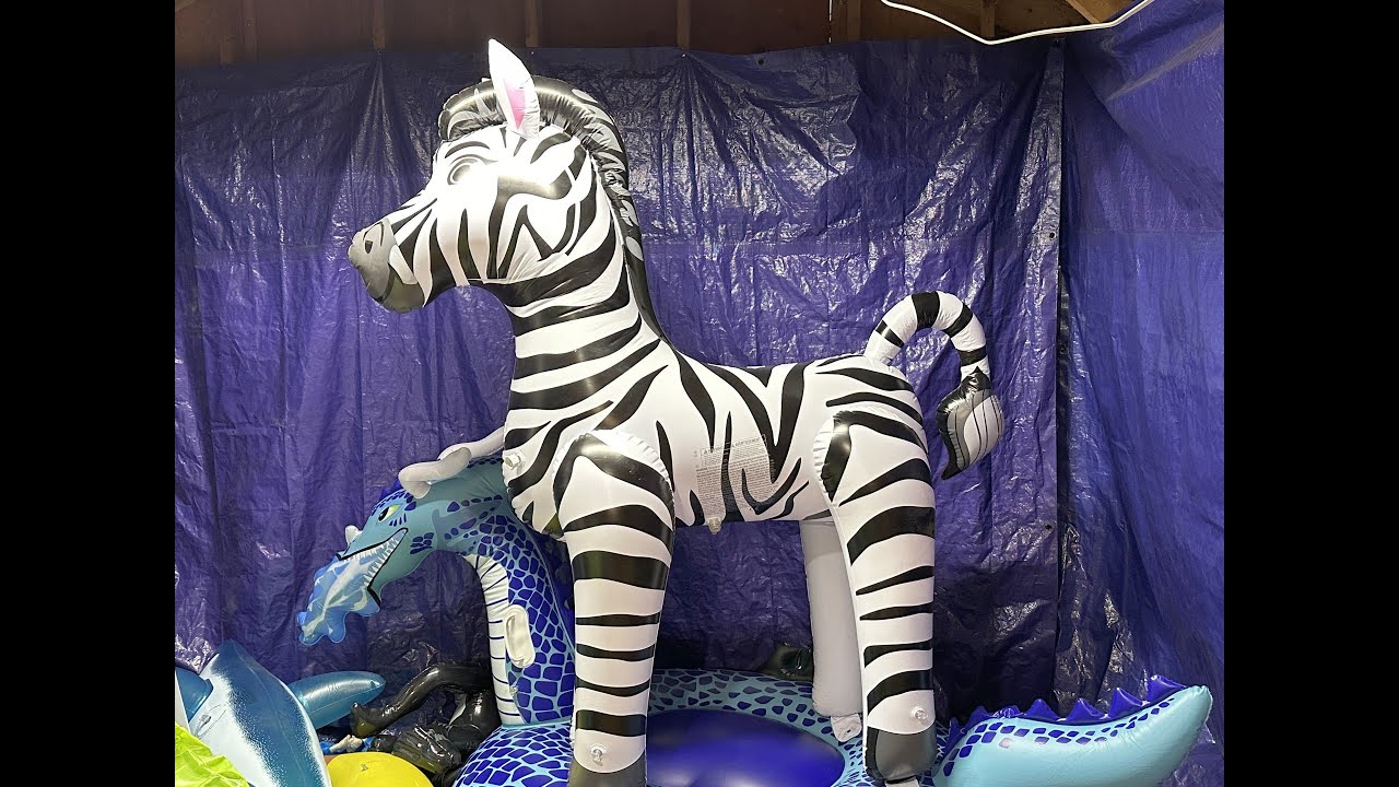 Pop And Destroy Huge Splash Buddies Inflatable Zebra - YouTube