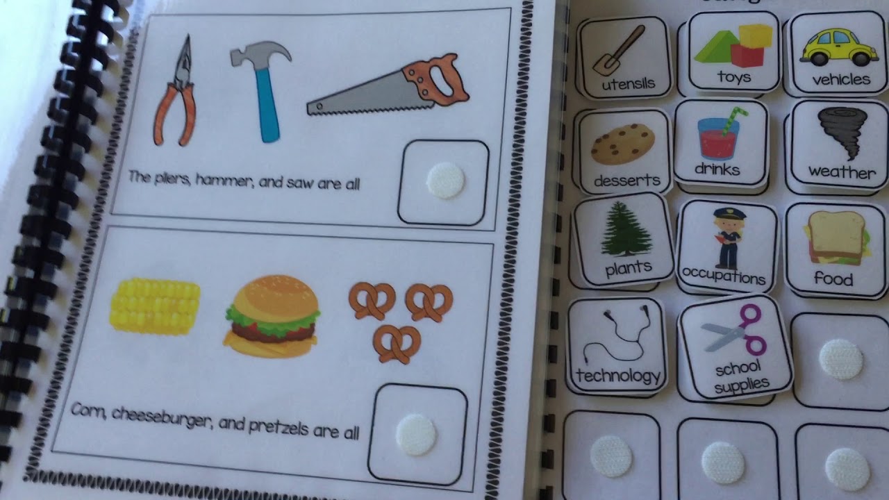 What Category Do You See? Adapted Book - YouTube