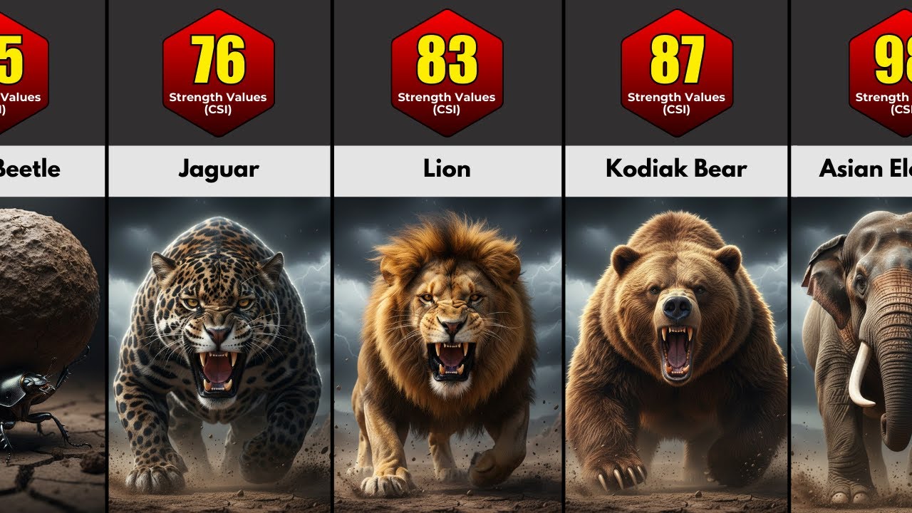 Strongest Animals on Earth 💪 | Strength Comparison - YouTube