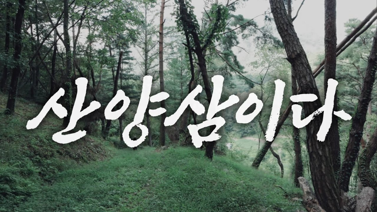 [정규1집"산양삼이다"]산양삼이다 - 임재용(JBcamp) | official M/V - YouTube