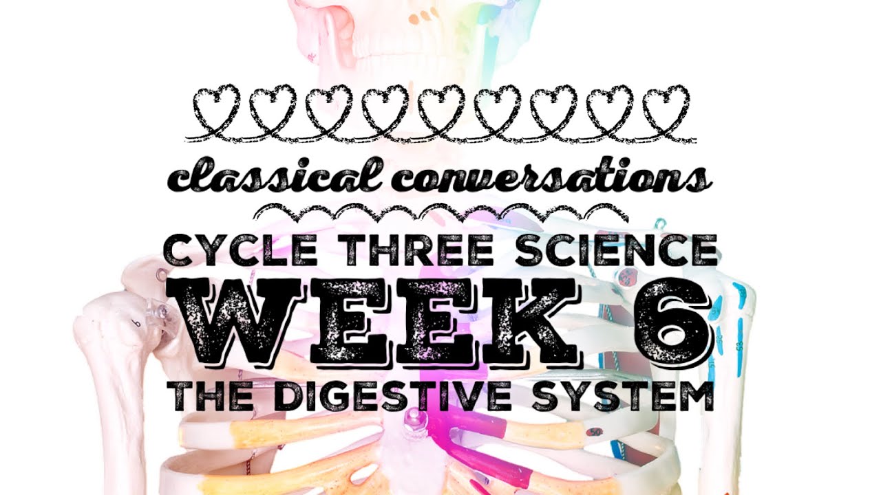Classical conversations cycle three science week six the digestive ...
