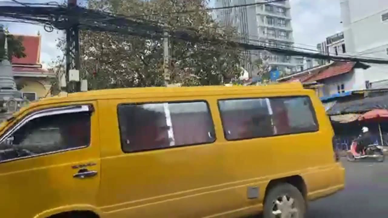 ជួបប្រទេះសត្វគីកងធំណាស់នៅលើដើមឈើ - YouTube