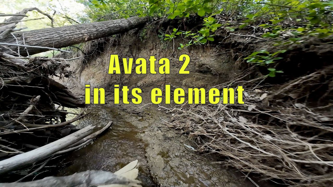 Deep down in the scraggle with the Avata 2 - YouTube