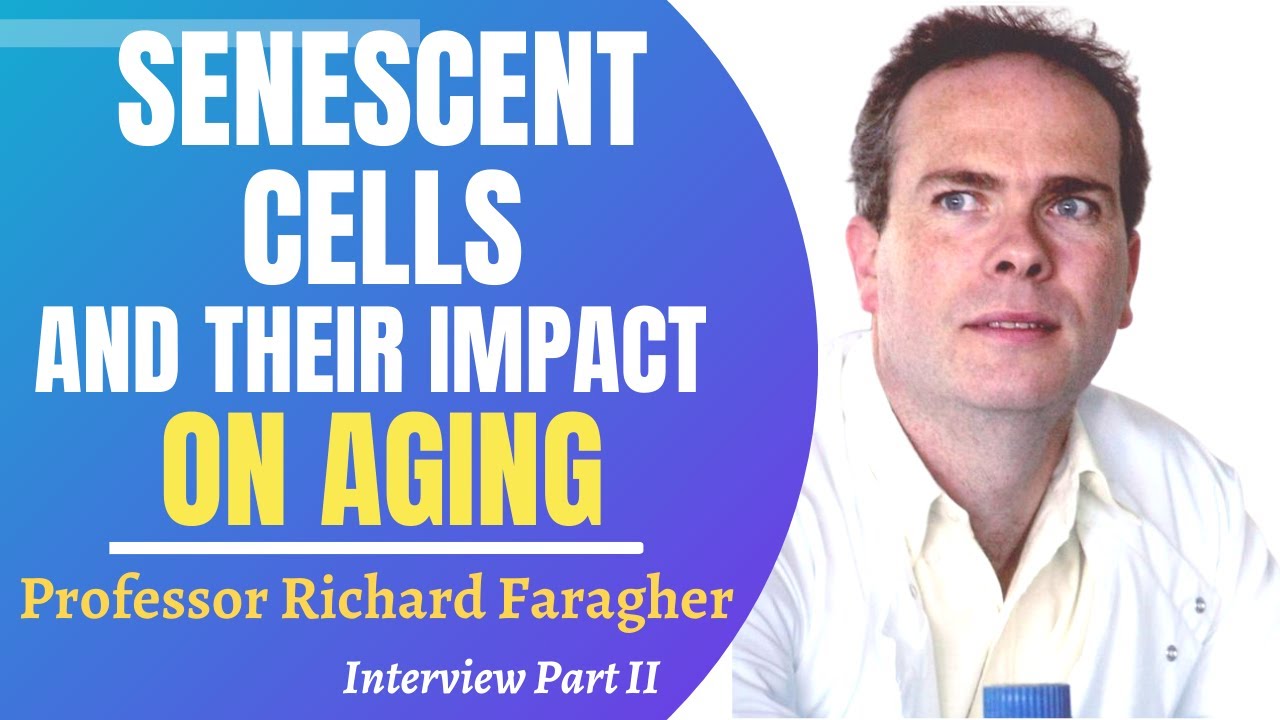 Senescent Cells And Their Impact On Aging | Prof Richard Faragher ...