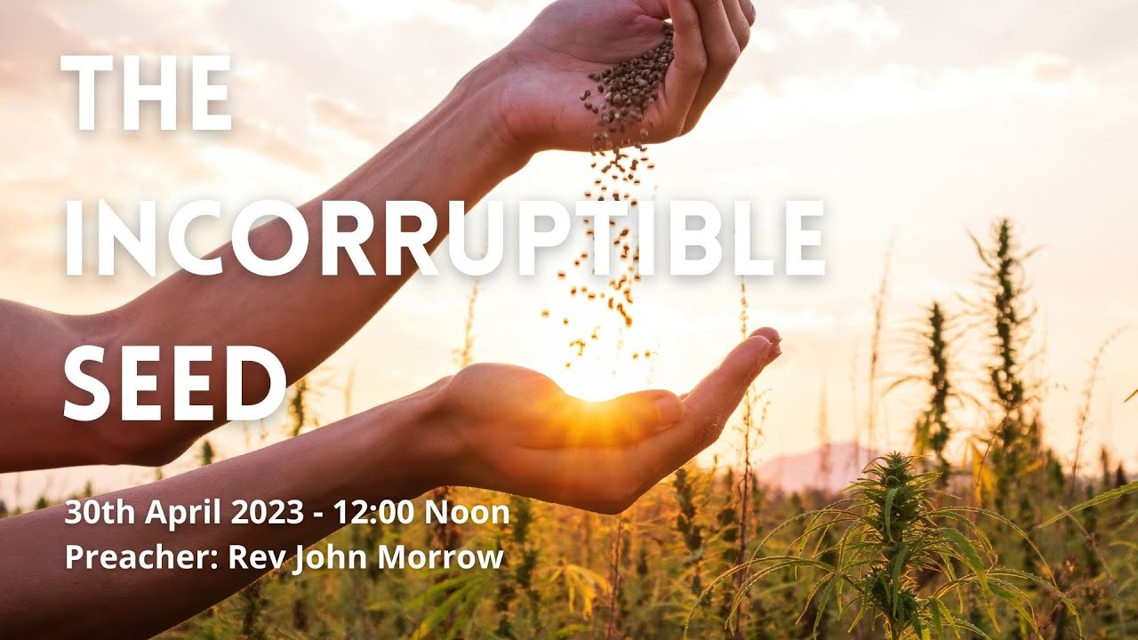 The Incorruptible Seed - YouTube
