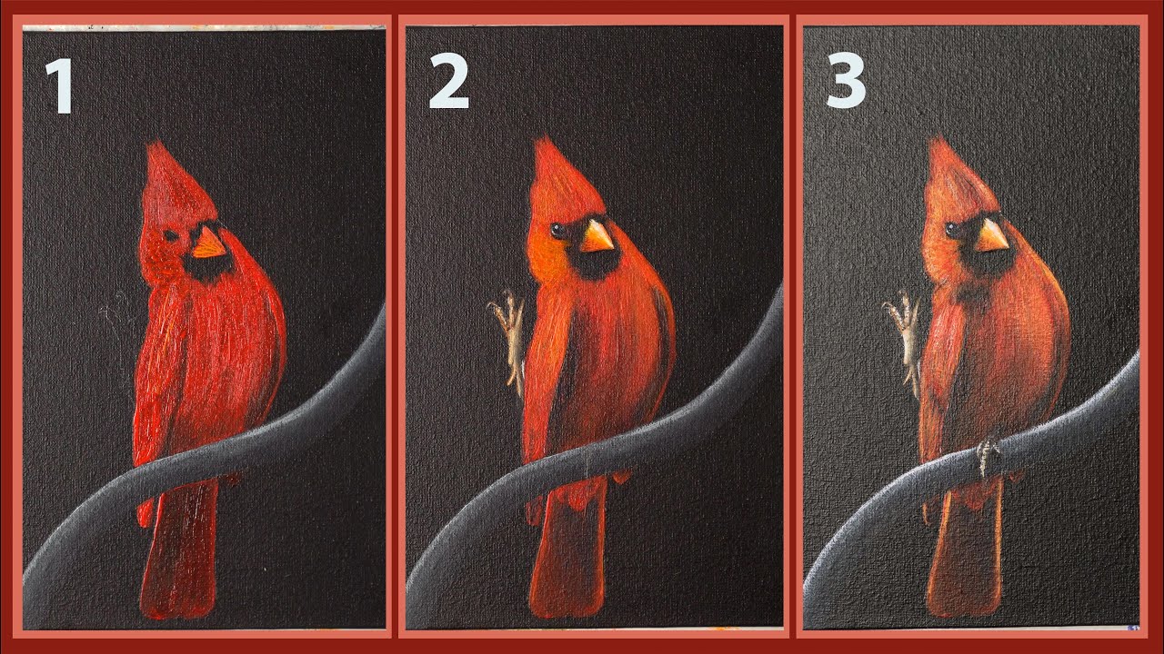 How to draw Red Cardinal step by step - Acrylic painting / Homemade ...