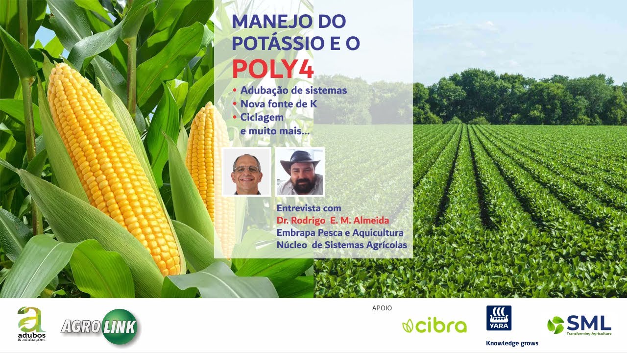 # 260 - MANEJO DE POTÁSSIO E O POLY4 - ENTREVISTA COM DR. RODRIGO ...