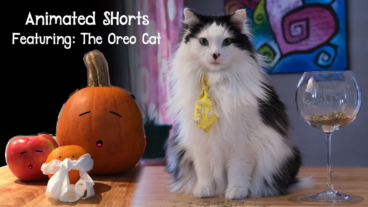 The Oreo Cat: Animated Shorts Compilation (2) - YouTube