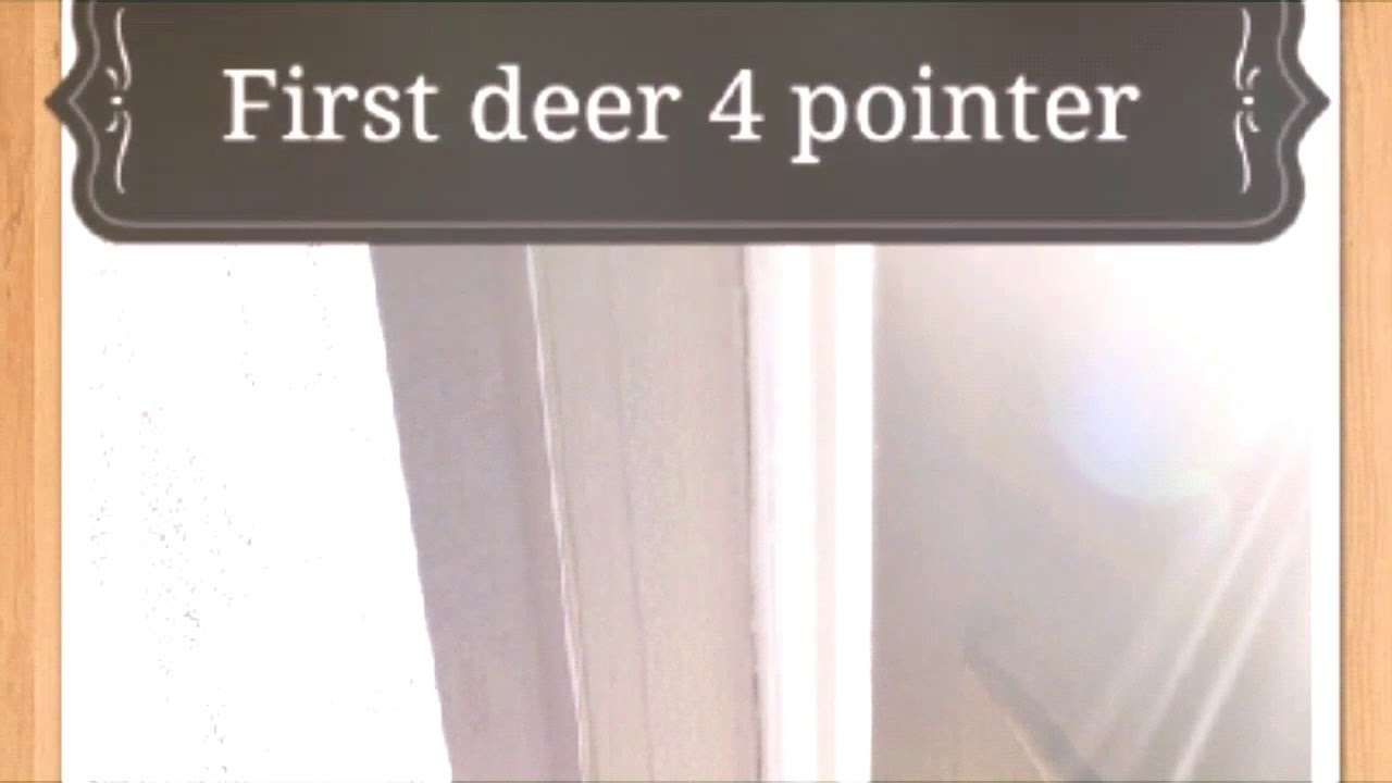 First deer 4 pointer - YouTube