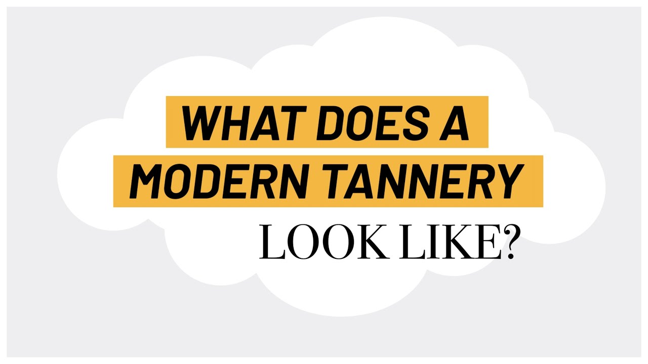 A modern tannery is a state-of-the-art facility - YouTube