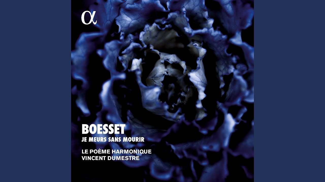 Ballet des fous et des estropiés de la cervelle: II. Entrée des demy ...