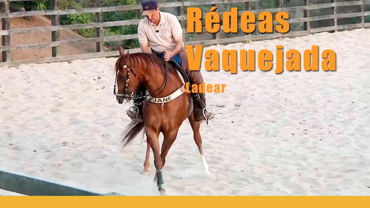 Ladear o Cavalo - Rédeas Vaquejada - YouTube