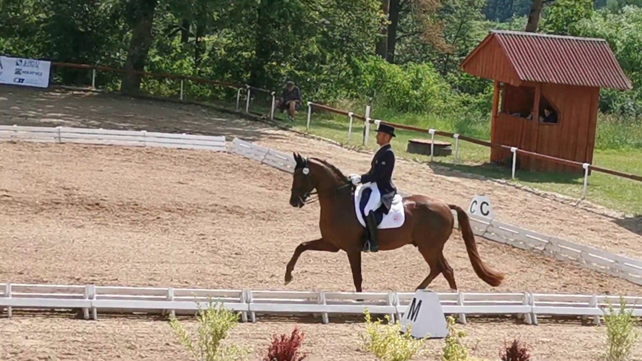 Alexandre Ayache (FRA) - ZO WHAT - Grand Prix Special - YouTube