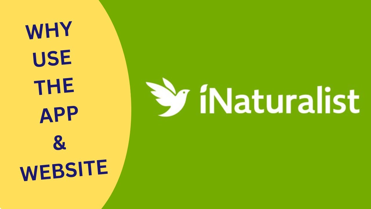 Why Use the iNaturalist App and Website 2023 - YouTube