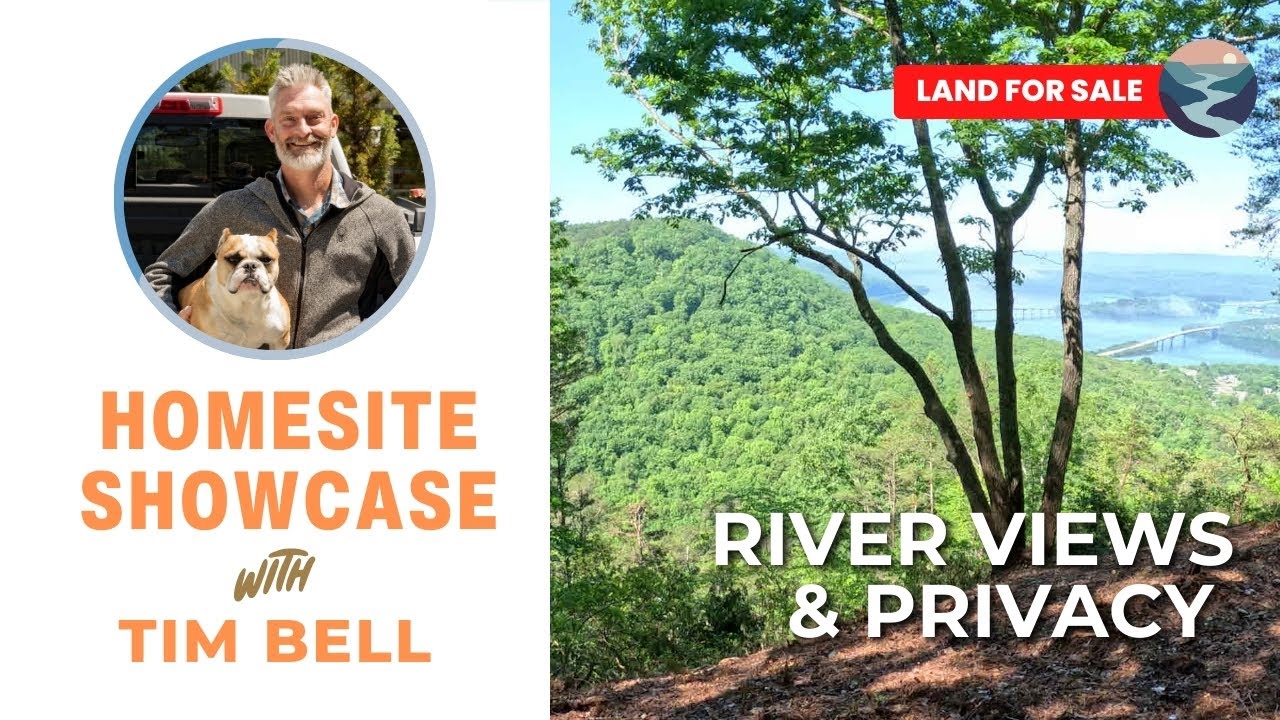 Another Great 3 Acre Tennessee Mountain Homesite // Wooded Privacy and ...