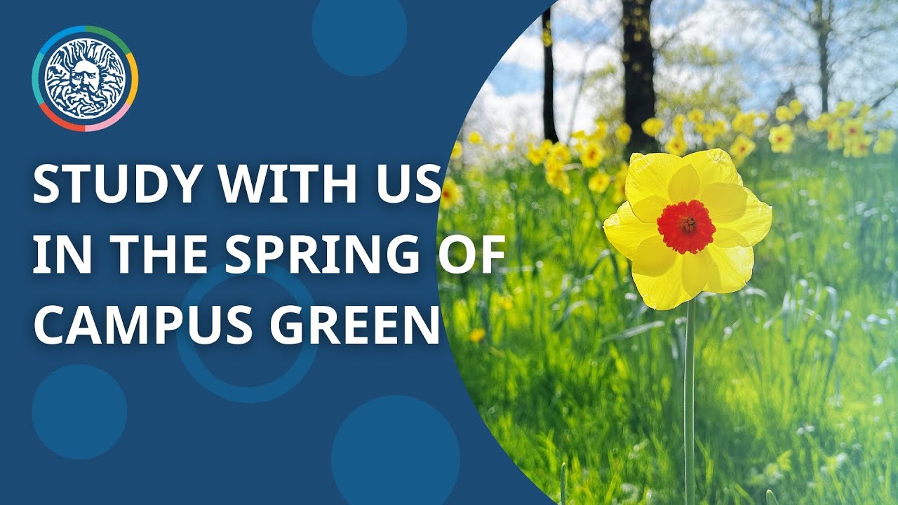 Study with us in the spring on campus - YouTube