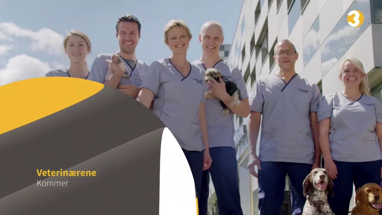 Promo: Veterinærene (TV3) - YouTube
