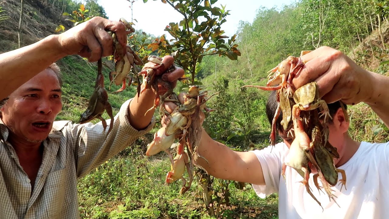 How to cook delicious forest frog - Cooking skills - YouTube