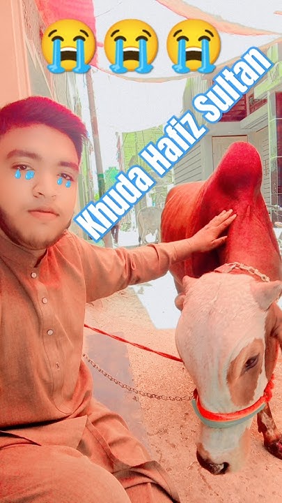 khuda hafiz o mere yara🥹😭, i miss you sultan... - YouTube