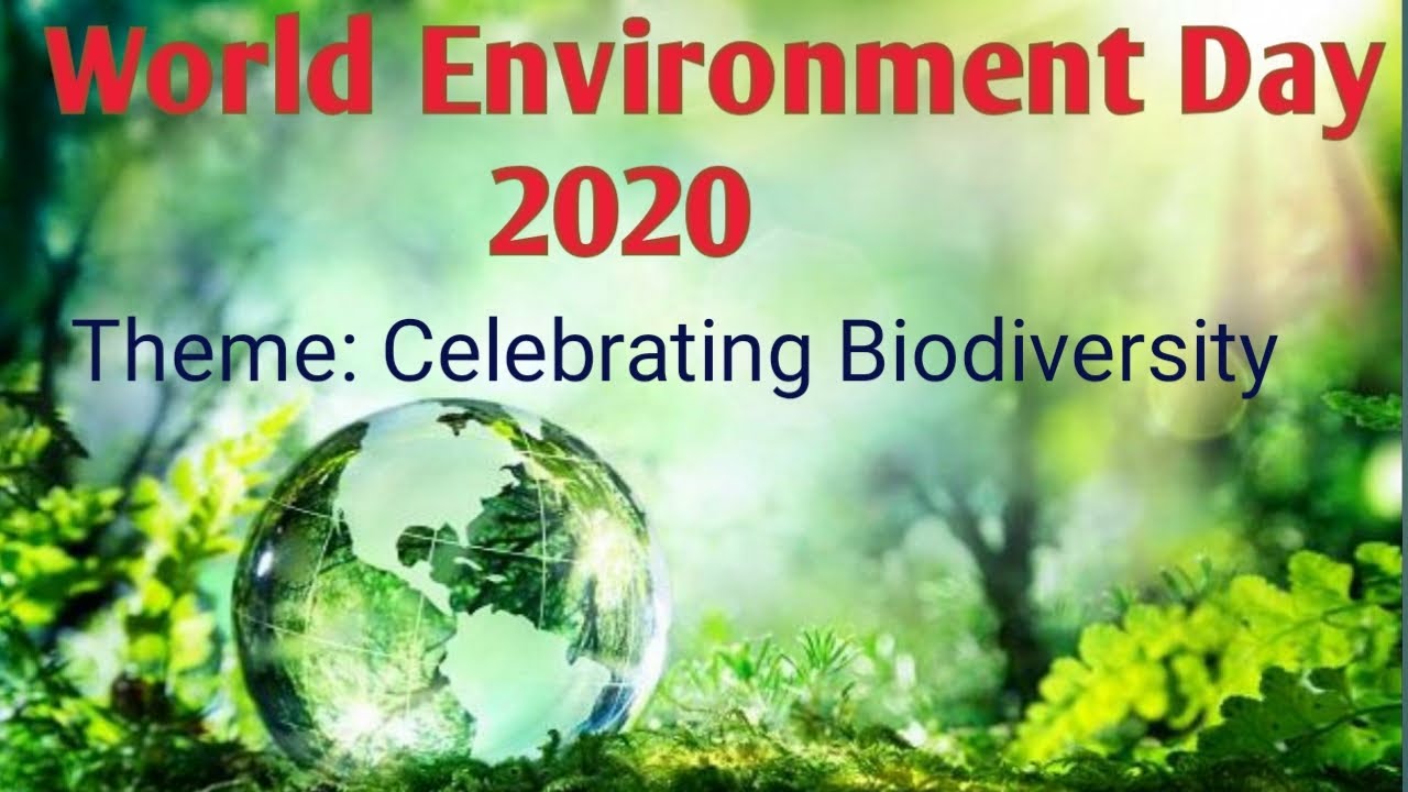 World Environment day 2020.Why Environment day is celebrated on 5th ...
