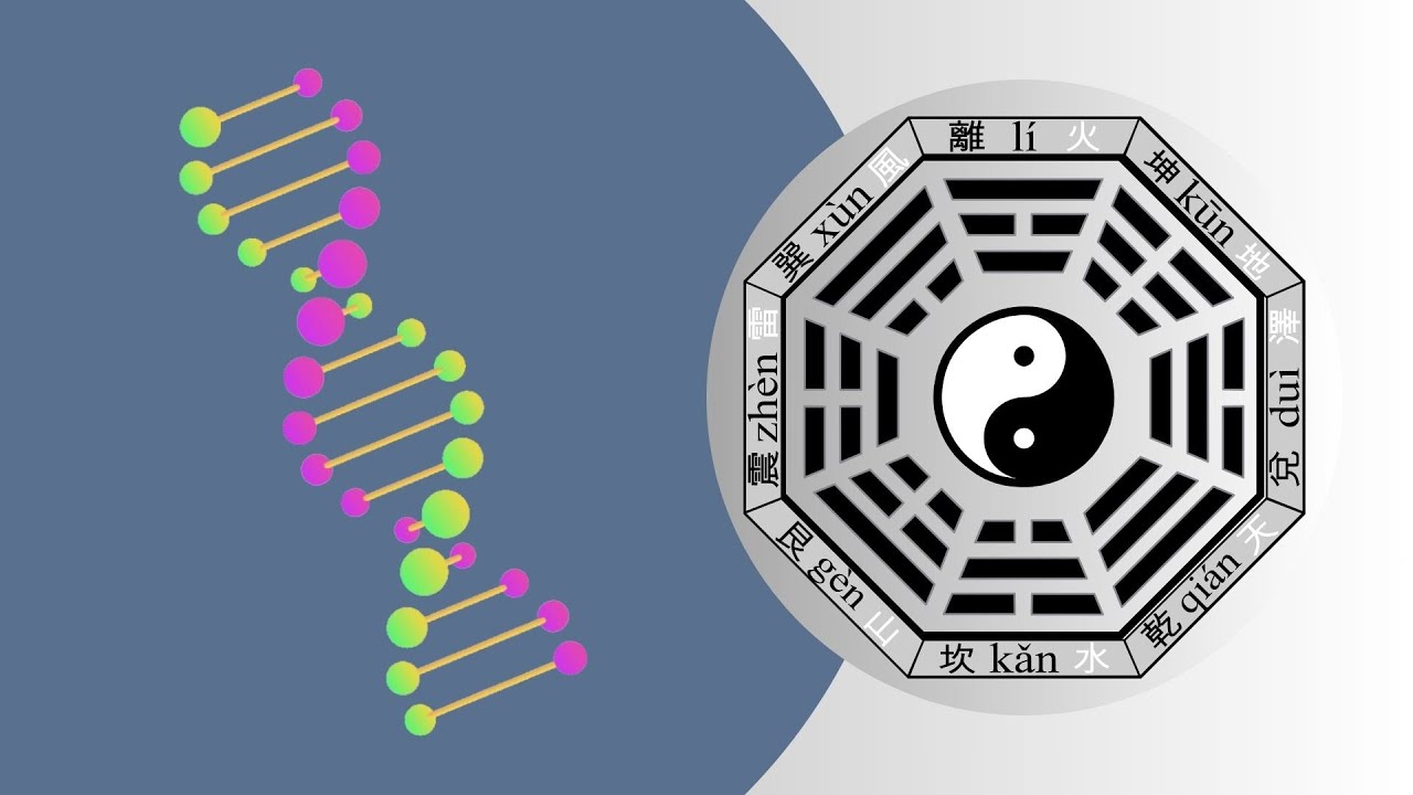 Connection between I Ching and DNA: Deciphering the Cosmic Code - YouTube