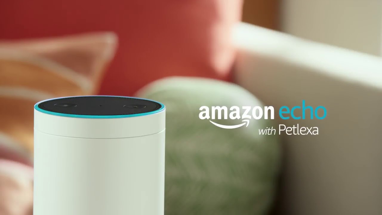 Amazon Alexa Moments Commercial - Petlexa - YouTube