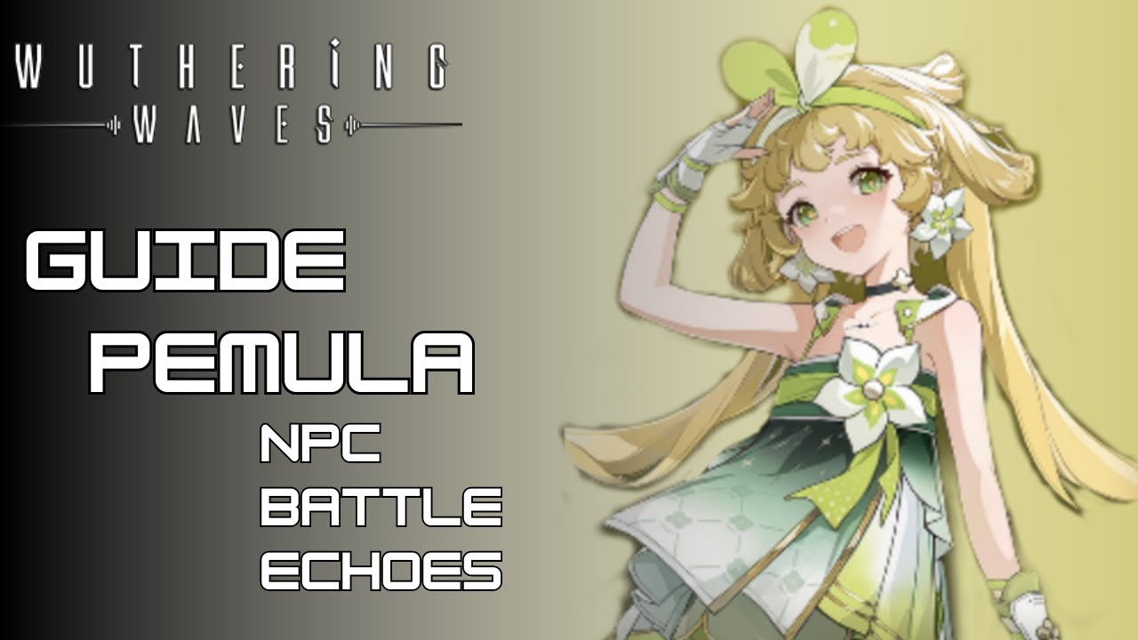 Guide untuk pemula NPC, Battle, Echoes - Wuthering Waves - YouTube