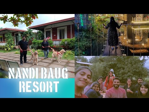 JOE And JOY at NANDI BAUG RESORT 🤩🥰 #goldenretriever #doglover #vlog ...